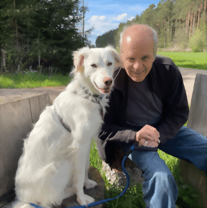 Herzlich Willkommen - Oldtimer-Sicherheitsgurte.de